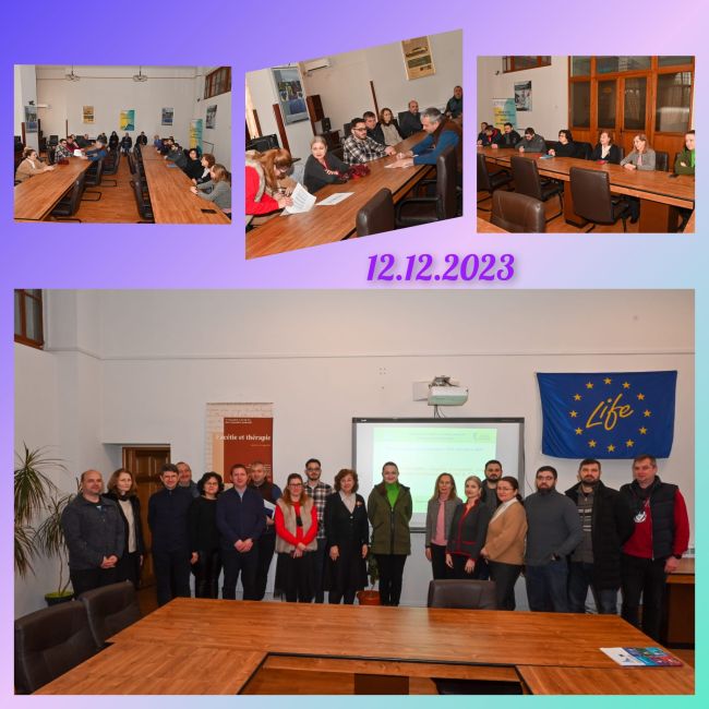 Proiecte internaționalizare - UBc